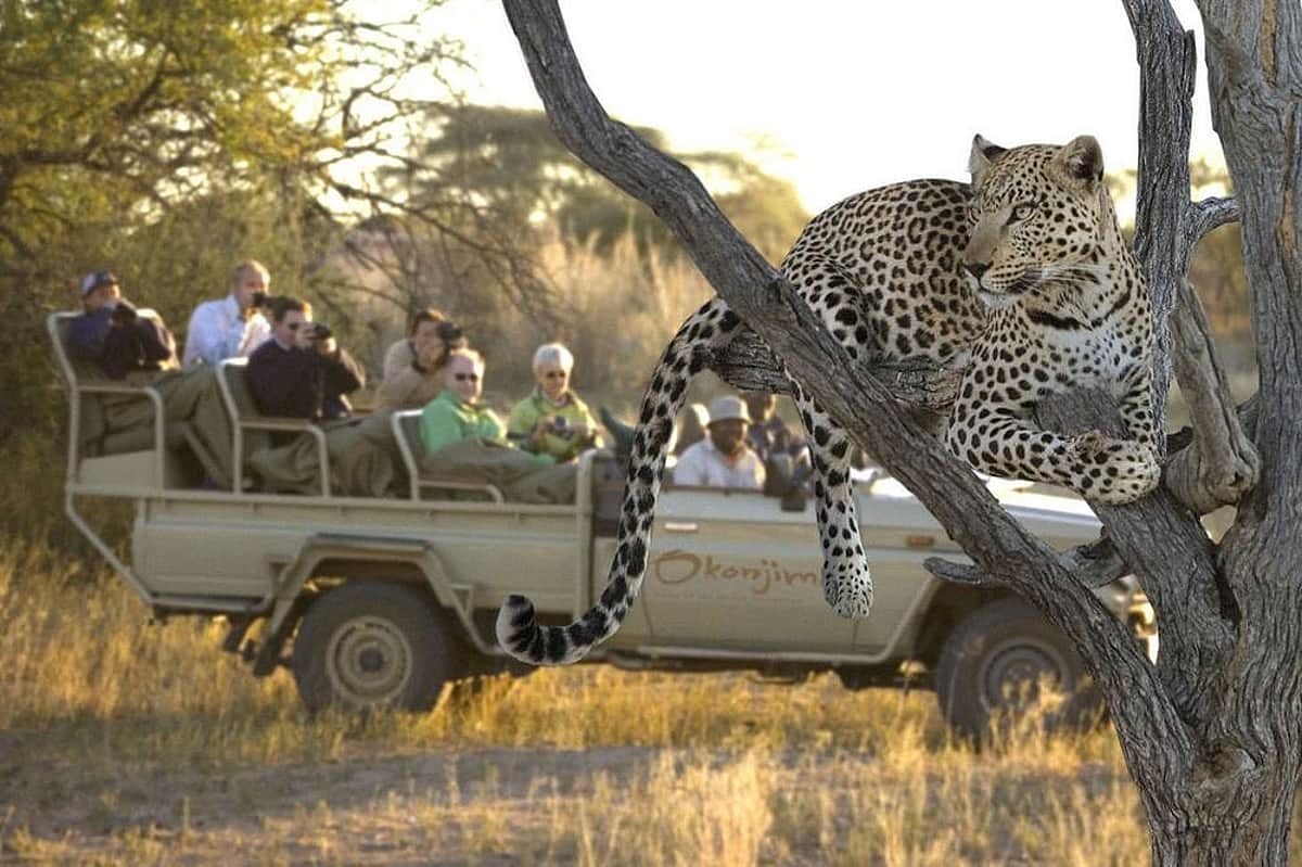 What Can Be Learnt from Community Conservancies & Sustainable Tourism ...